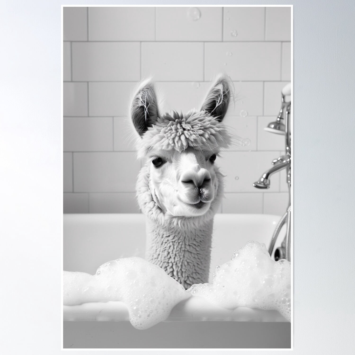 Alpaca Taking A Bath, Funny Vintage Animal Photo Poster Wall Art ...