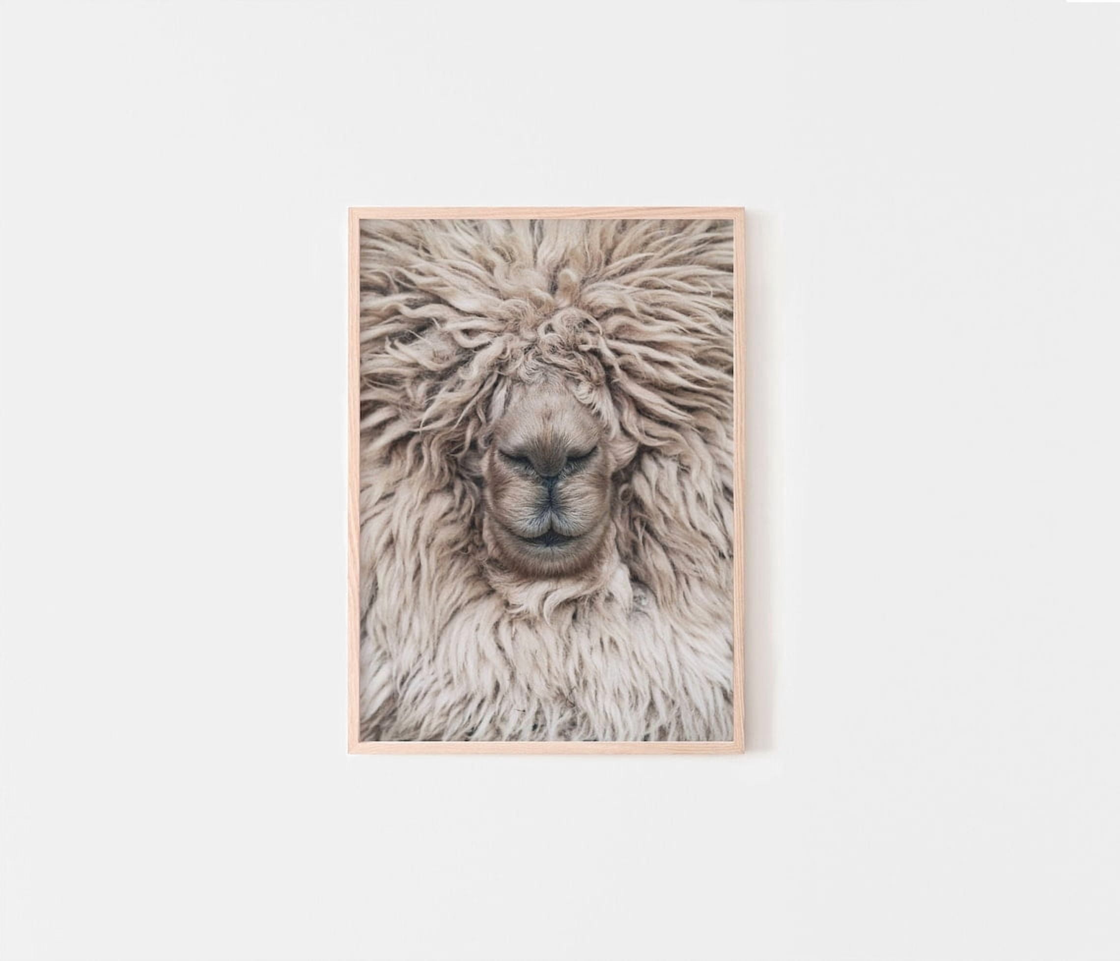 Alpaca Wall Art Poster Llama Photography Nursery Animal Decor Neutral ...