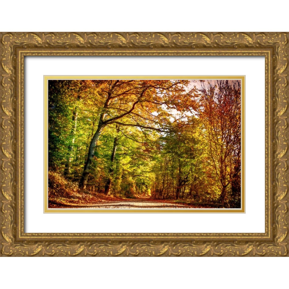 Alpenglow Workshop 24x17 Gold Ornate Wood Framed with Double Matting ...