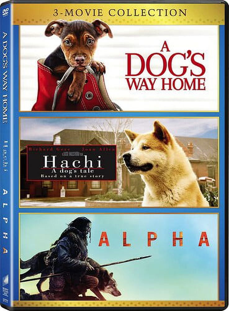 Pre-Owned Alpha / A Dog's Way Home Hachi: Tale (DVD) - Walmart.com