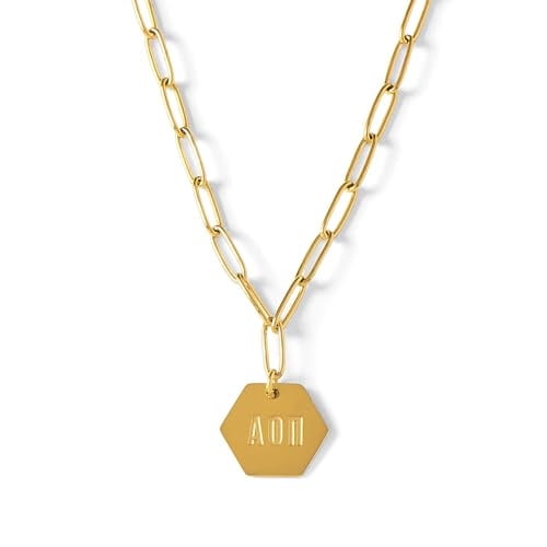 Alpha Omicron Pi Necklace, 18k Gold Plated Paperclip Style Chain with ...
