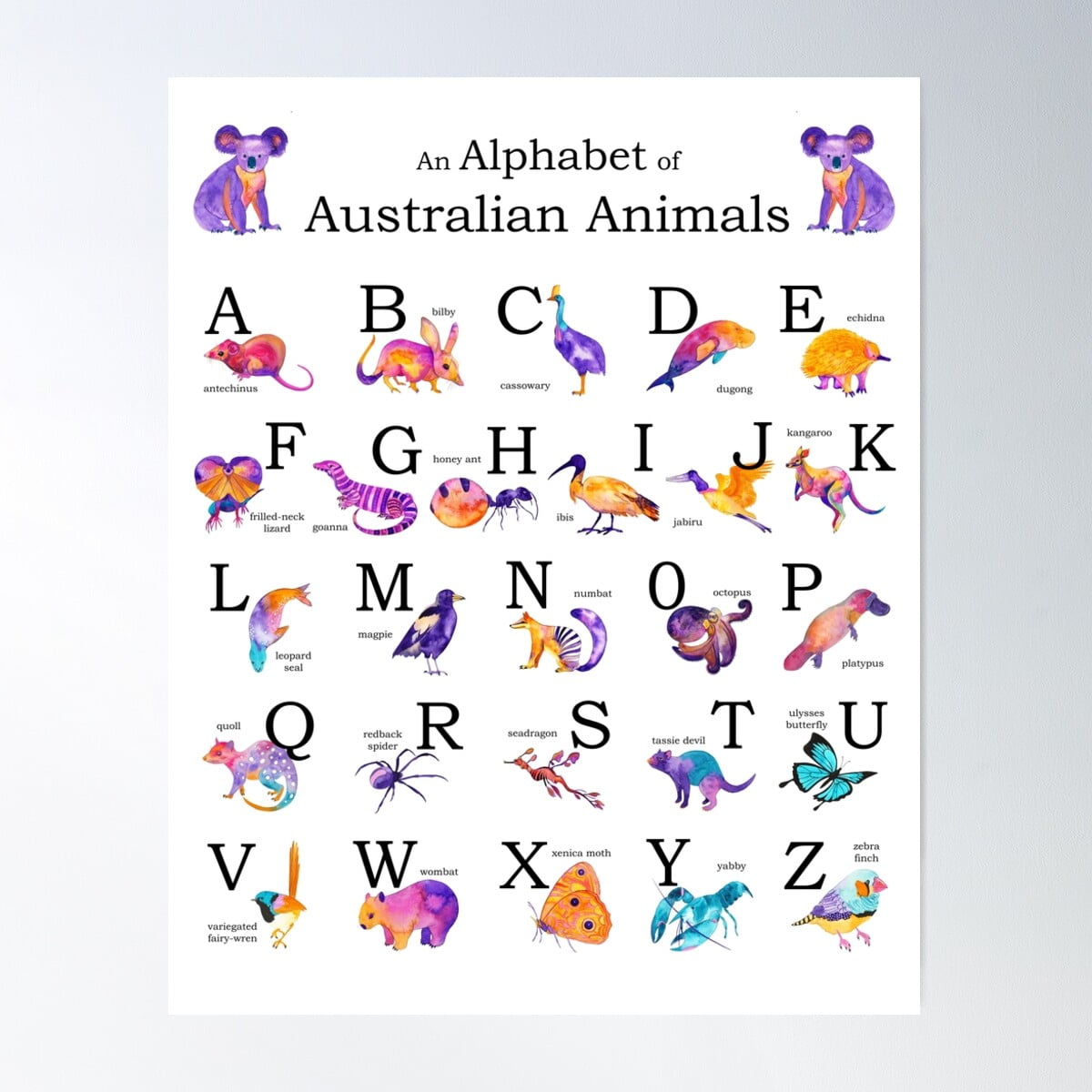 Alphabet Of Australian Animals Poster Wall Art, Modern Wall Decor For ...
