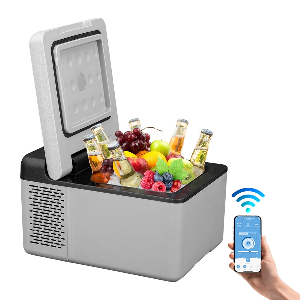 Alpicool C9 Car Freezer, Portable Car Refrigeartor 10 Quart(9 Liter ...
