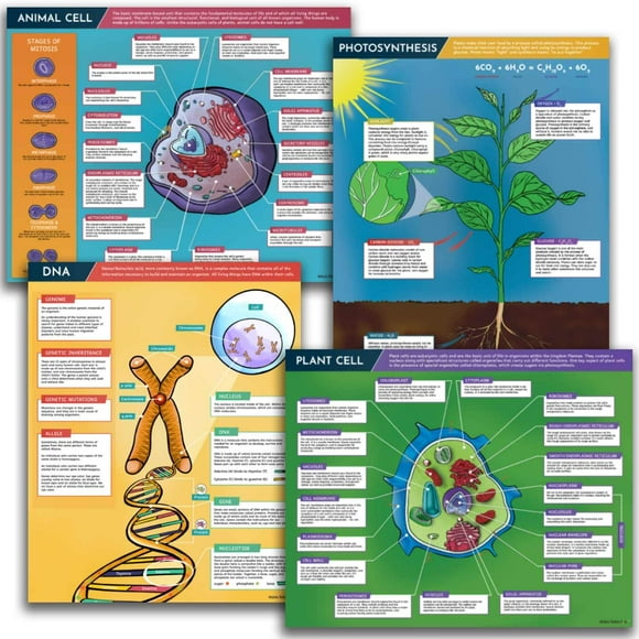 Science Education Charts Posters Biology Supplies