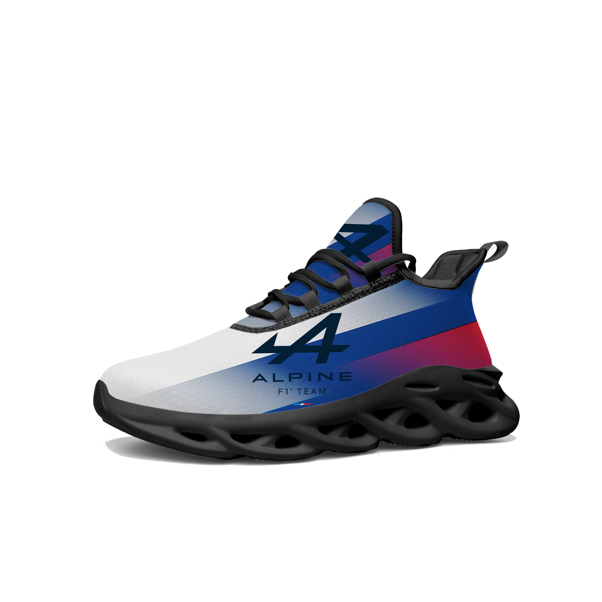 Alpine F1 Custom Flats Sneakers Team Racing Men Women Teenager Sports ...