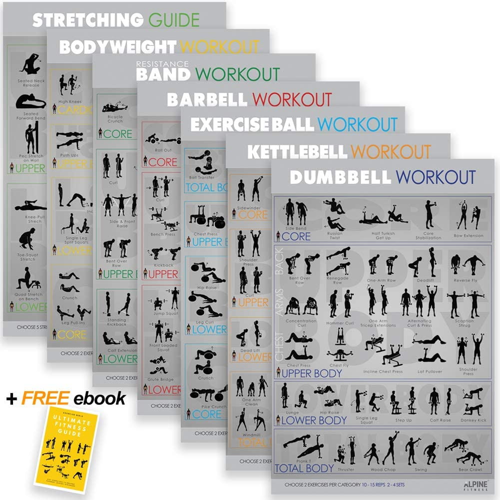 Alpine Fitness 16.5 x 28 Home Gym Exercise Posters Bundle - 7 ...