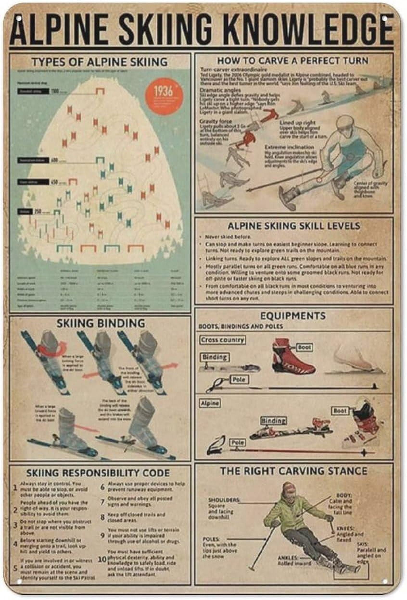 Alpine Skiing Knowledge Metal Signs Types Of Alpine Skiing Infographics ...
