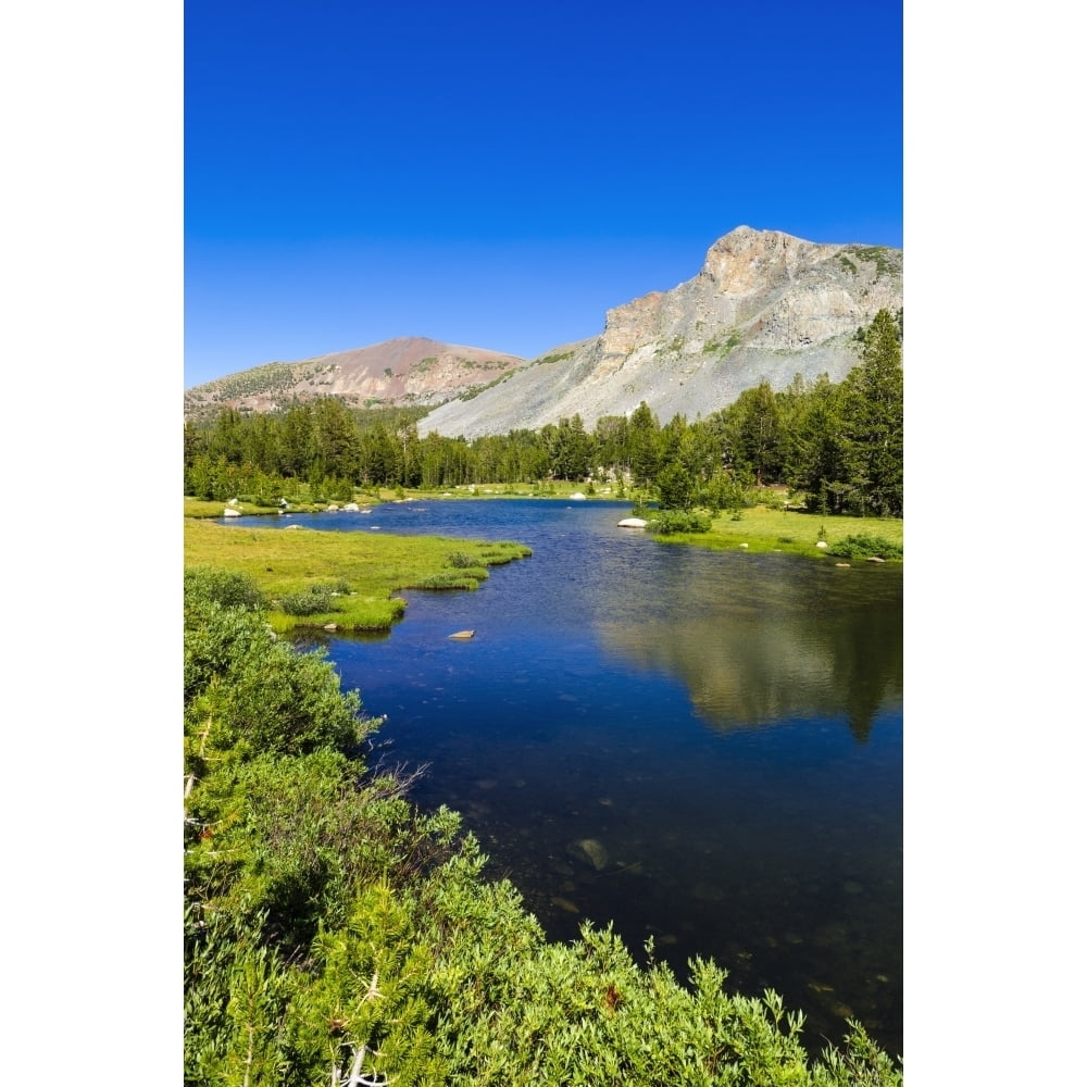 Alpine tarn in Dana Meadows under Mount Dana Tuolumne Meadows Yosemite ...