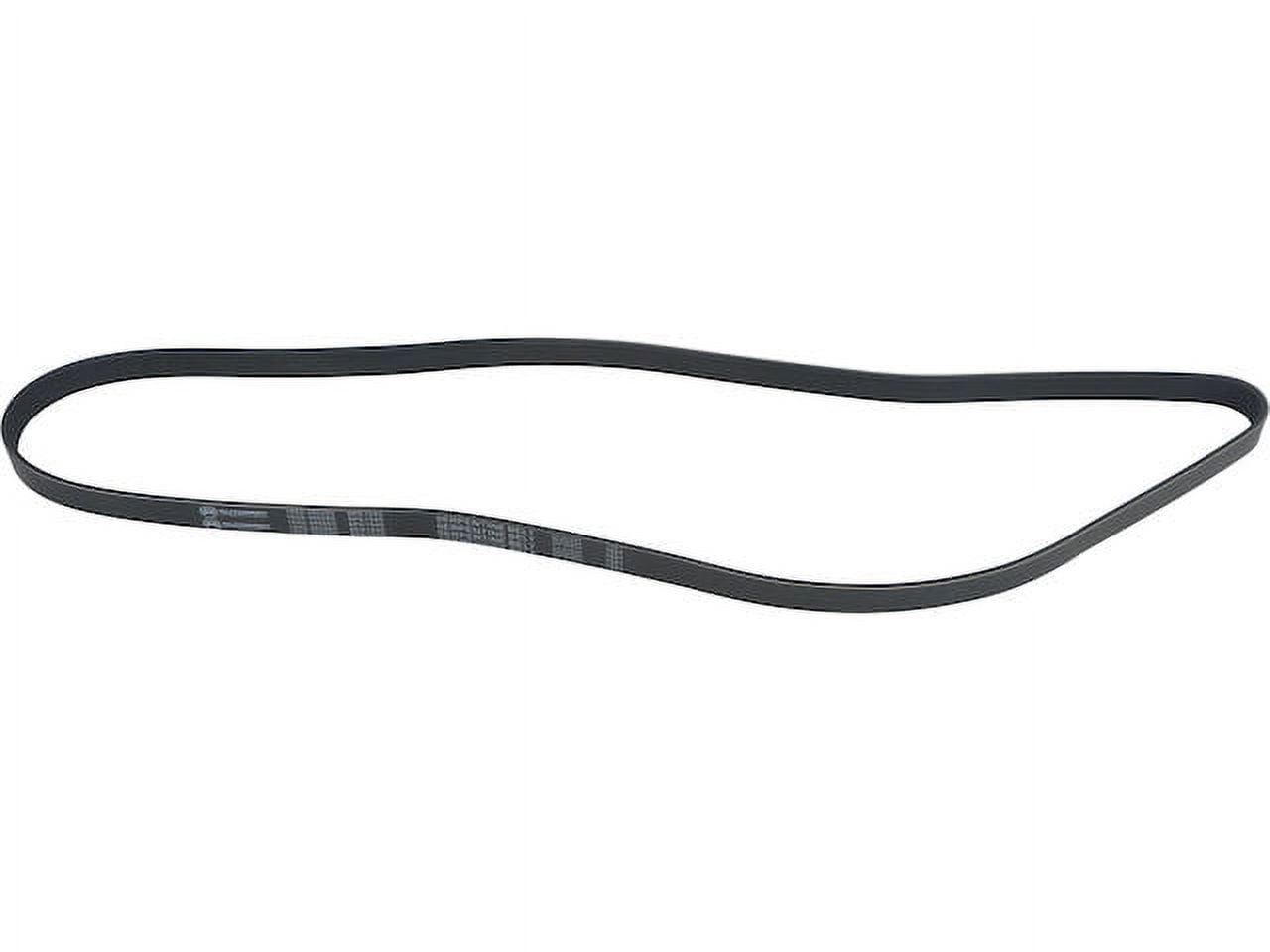 Alternator, Water Pump and Power Steering Multi Rib Belt - Compatible ...