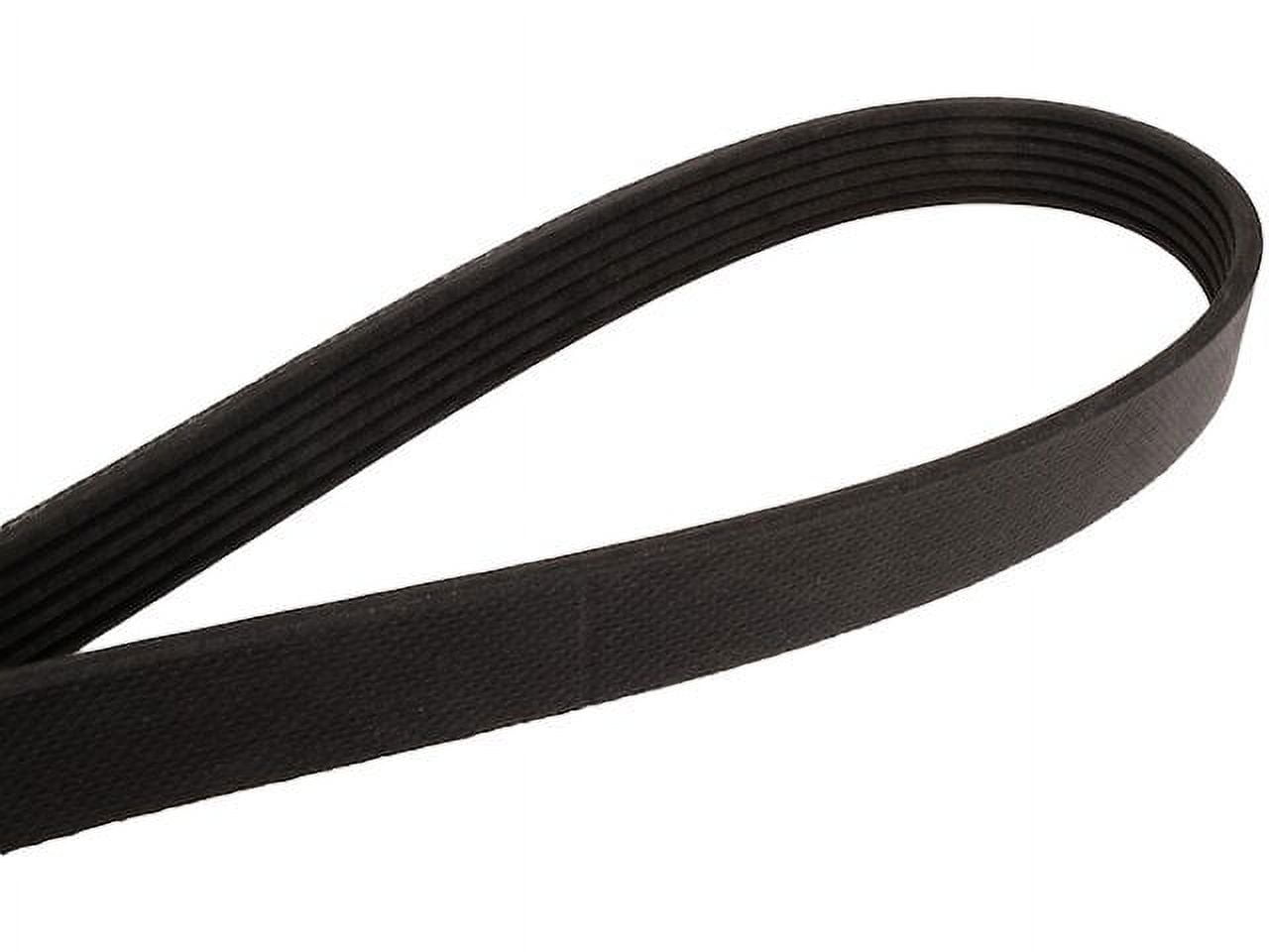 Alternator, Water Pump and Power Steering Multi Rib Belt - Compatible ...