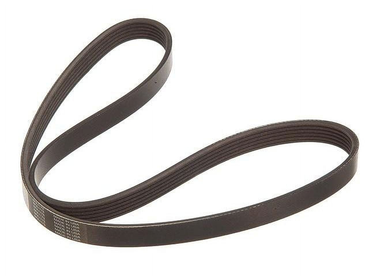 Alternator and Air Conditioning Multi Rib Belt - Compatible with 1997 ...