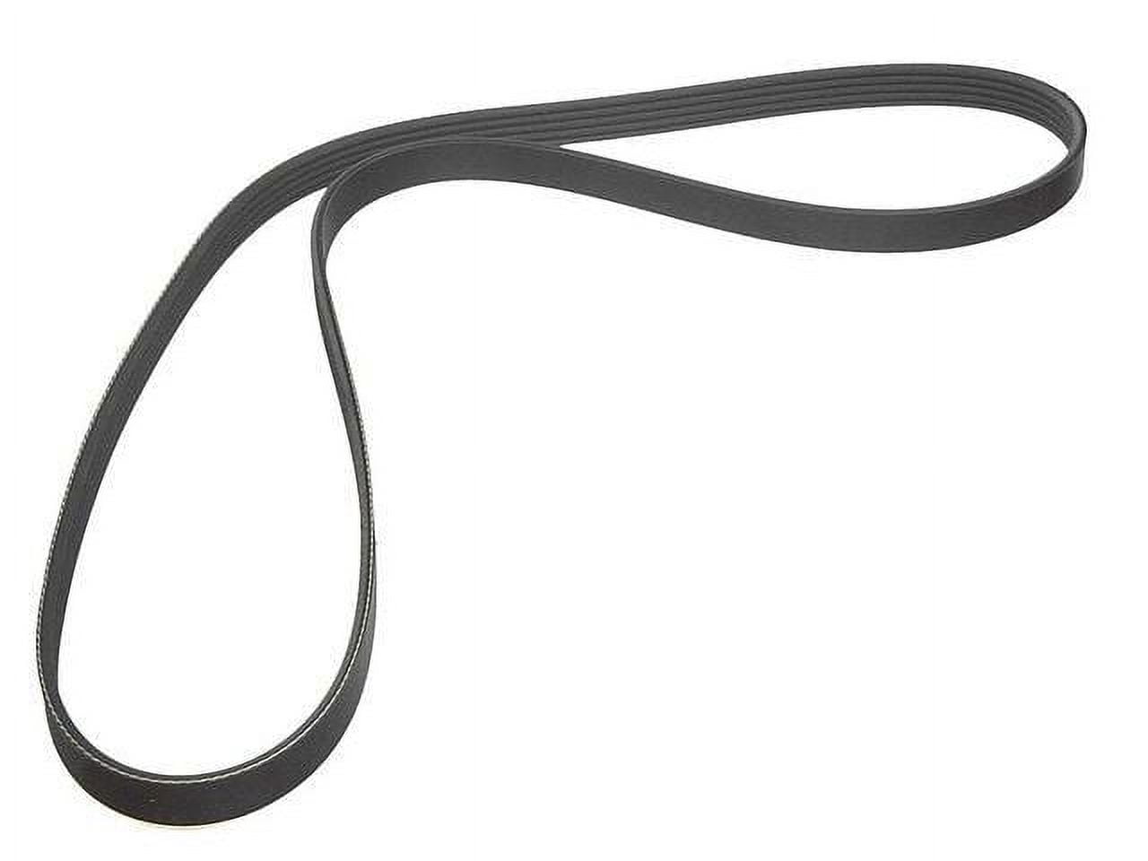 Alternator and Water Pump Multi Rib Belt - Compatible with 1989 - 1992 ...