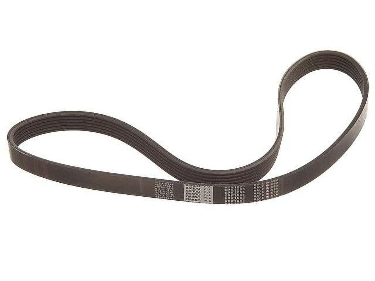 Alternator and Water Pump Multi Rib Belt - Compatible with 1996 - 2000 ...