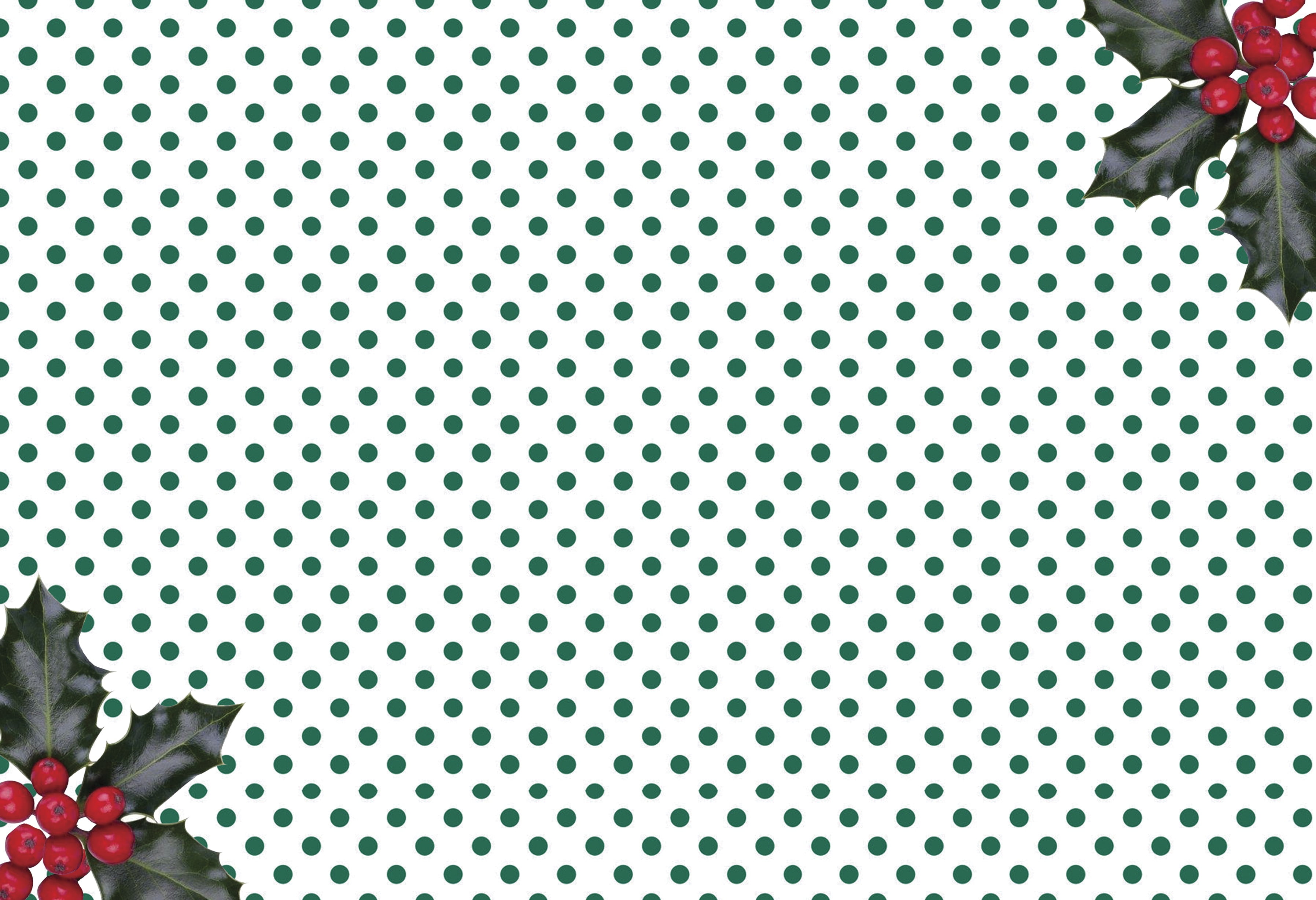 Altoona Design Christmas Holiday Table Paper Placemats 24/pack ...