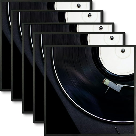 Vinyl Record Display Frame