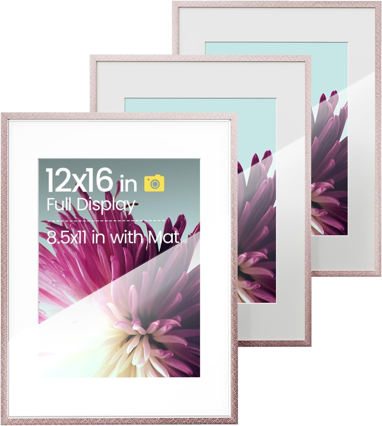 Aluminum Metal 12x16 Picture Frames with Mat for 8.5x11 Picture, Set of ...