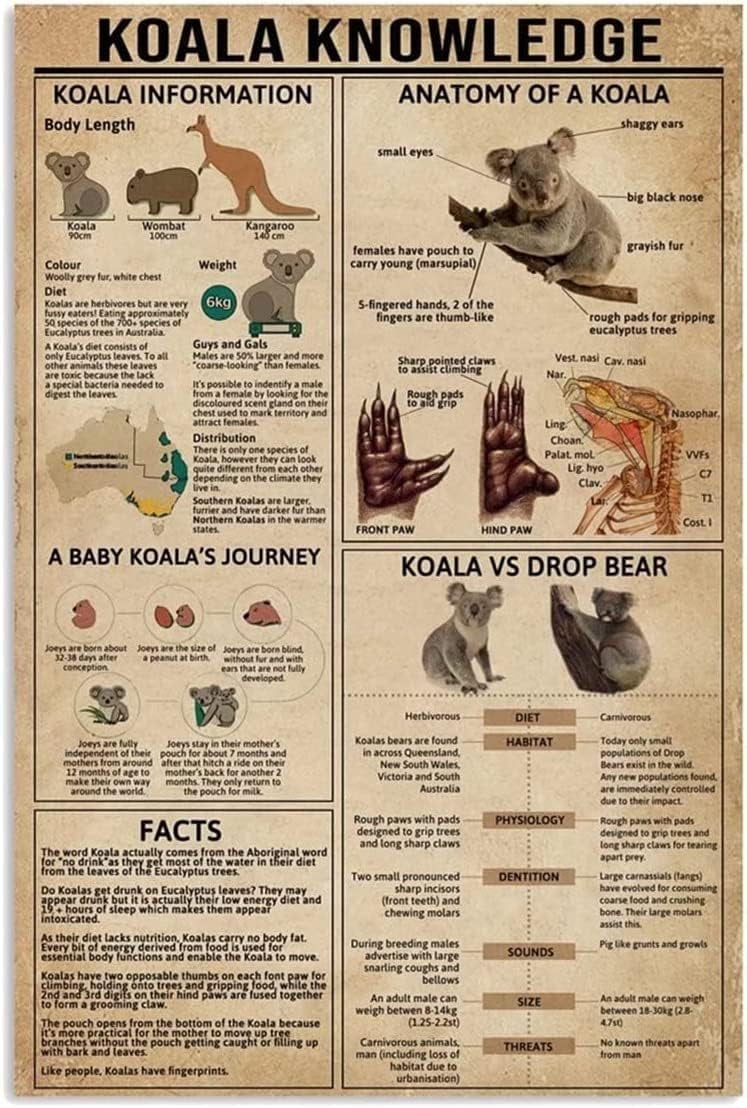 Aluminum Metal Knowledge Sign Outdoor Koala Knowledge Metal Tin Sign ...