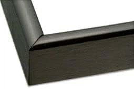 Aluminum Picture Frame Includes Shatterproof Glazing Spring Loaded ...