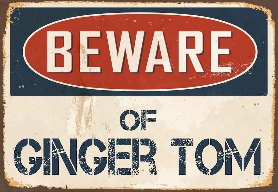 Aluminum Sign 12 x 16 inch - Beware of Ginger Tom metal sign Ginger Tom ...