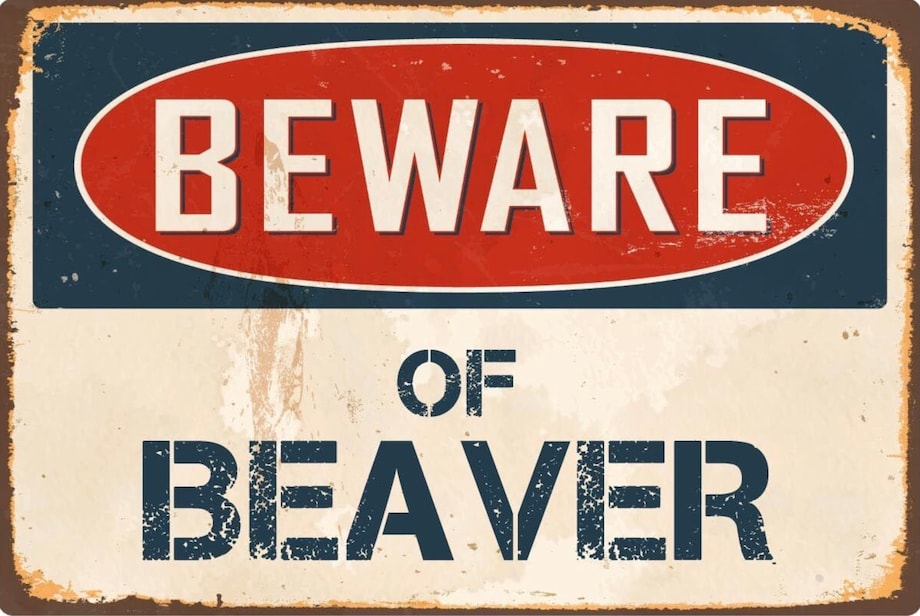 Aluminum Sign 8 x 12 inch - Beware of Beaver metal sign Beaver sign ...