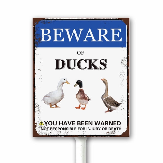 Aluminum Yard Sign Beware Of Leopard Geckos, 8 x 12 Inch With 12.8 Inch ...