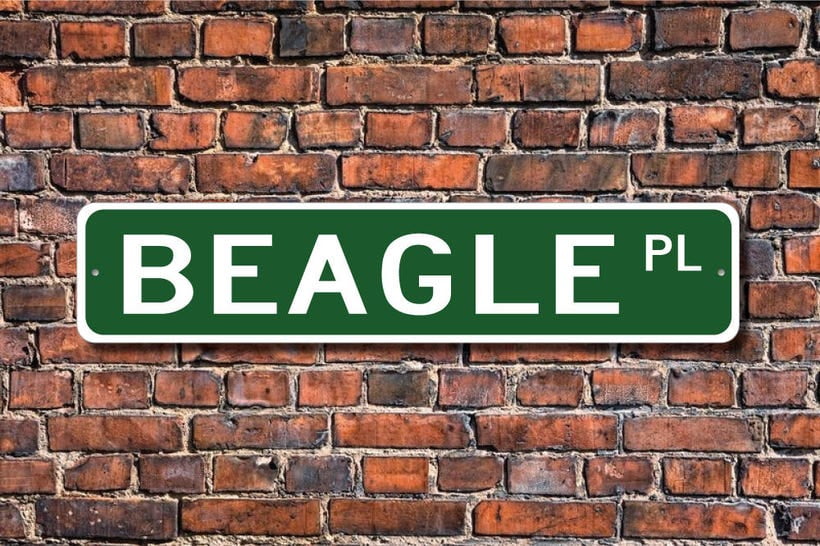 (Aluminum metal) Beagle Beagle Gift Beagle Sign Beagle Lover Gift ...