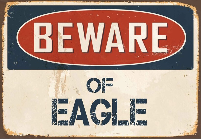 (Aluminum metal) Beware of Eagle sign Eagle sign Eagle Plaque Size: 8 x ...
