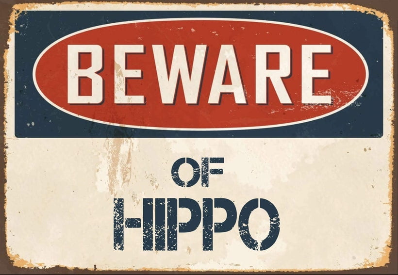 (Aluminum metal) Beware of Hippo metal sign Hippo sign Hippo Plaque ...