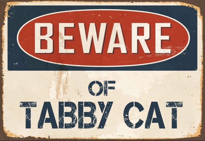 (Aluminum metal) Beware of Tabby Cat metal sign Tabby Cat sign Tabby ...