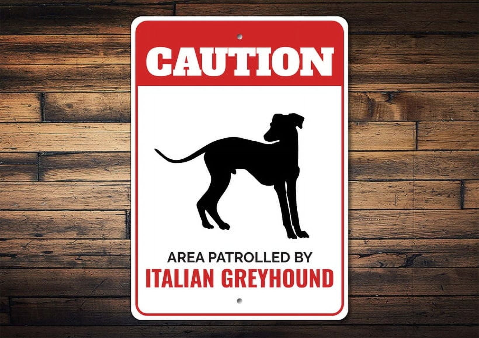 (Aluminum metal) Italian Greyhound Dog Sign Caution Dog Sign Greyhound ...
