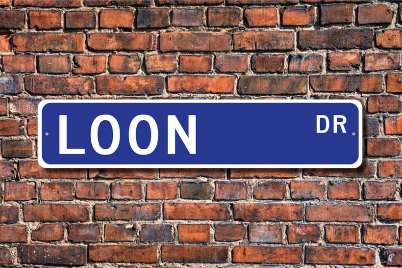 (Aluminum metal) Loon Loon Gift Loon Sign Loon decor Loon lover divers ...