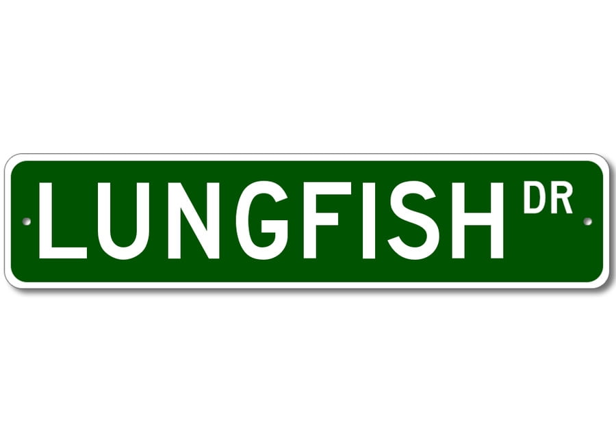 (Aluminum metal) Lungfish Fish Sign Metal Wall Decor Fishing Street ...
