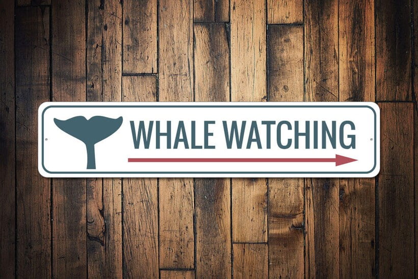 (Aluminum metal) Whale Watching Sign Whale Decor Whale Sign Whale Lover ...