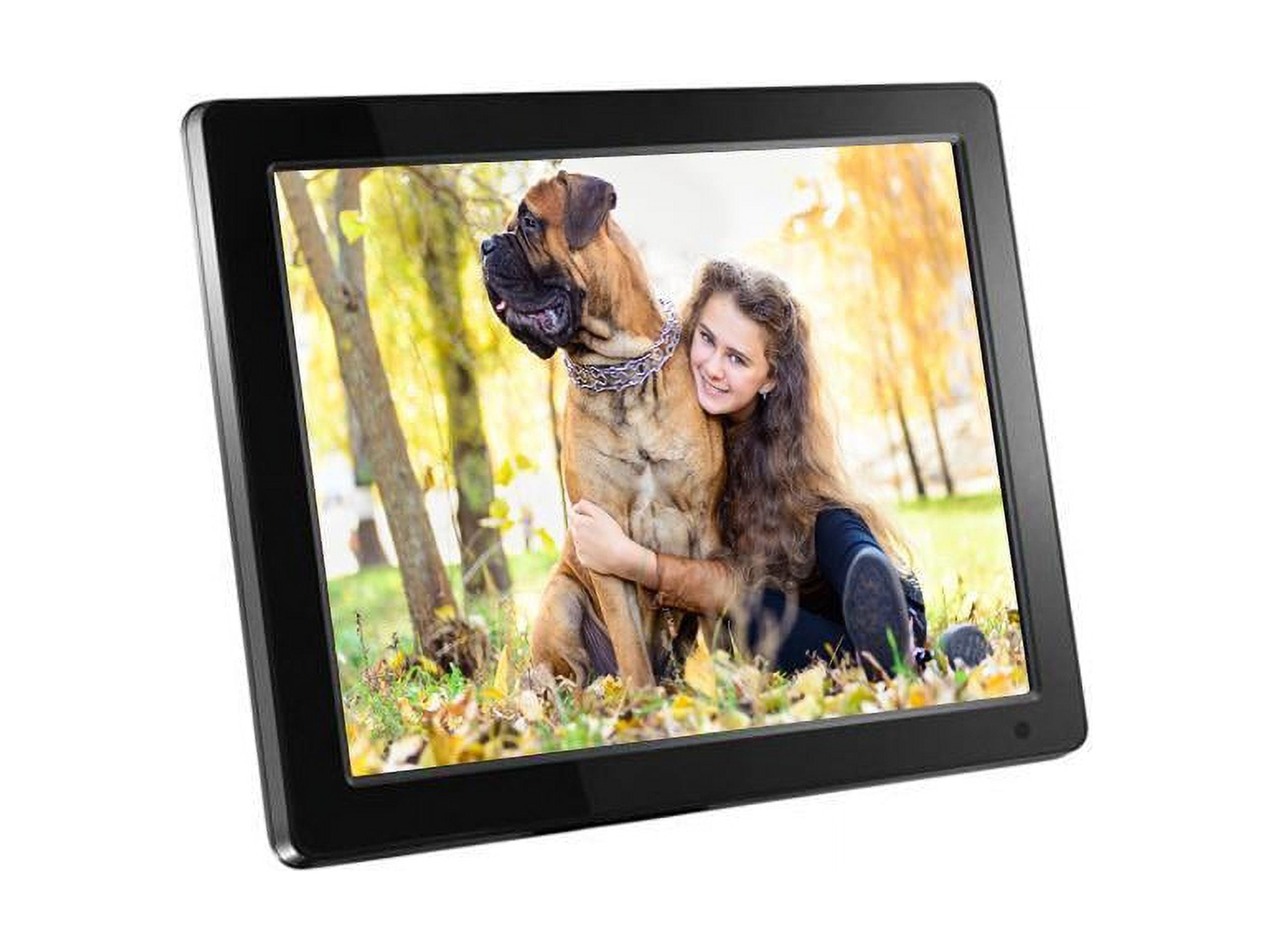 Aluratek 12" Digital Photo Frame with 2GB Built-In Memory (1280 x 800 ...