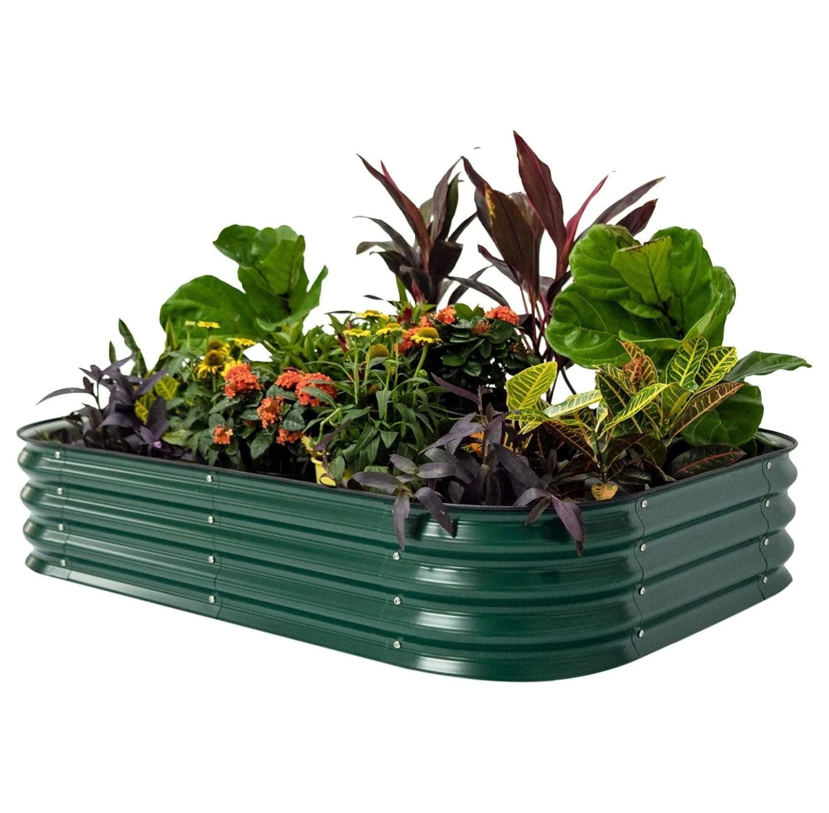 Aluzinc Raised Garden Bed Kits, 11" Tall 6 in 1 Modular Metal Raised ...