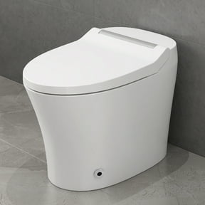 Shop 19 Inch High Toilets for Comfortable Bathroom Renovations