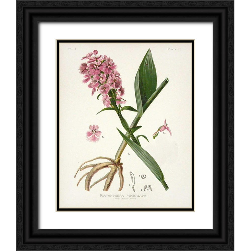 Alvarez, Cynthia 15x18 Black Ornate Wood Framed with Double Matting ...