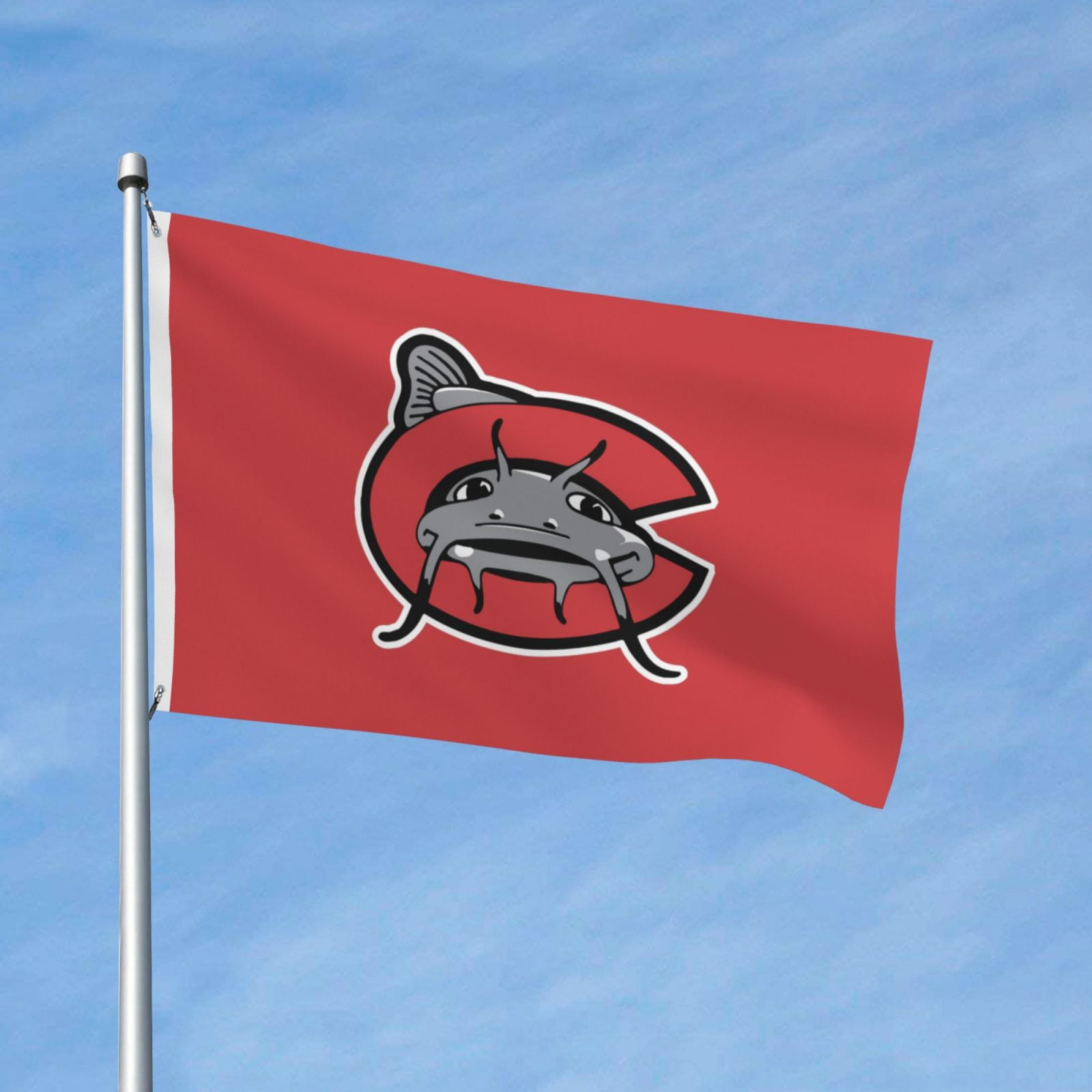 Carolina Mudcats University Logo Banner 3x5 Ft Flag,Double Sided ...
