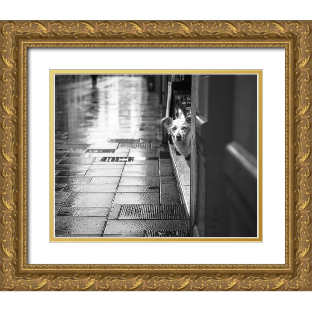 Alviani, Montserrat 24x20 Gold Ornate Wood Framed with Double Matting ...