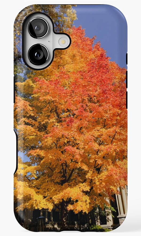 Always Falling For You Romantic Quote Phone Case for iPhone 11 12 13 14 ...