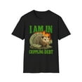 Am In Crippling Debt, Funny Opossum Meme Shirt, Chaos Animal Tee ...