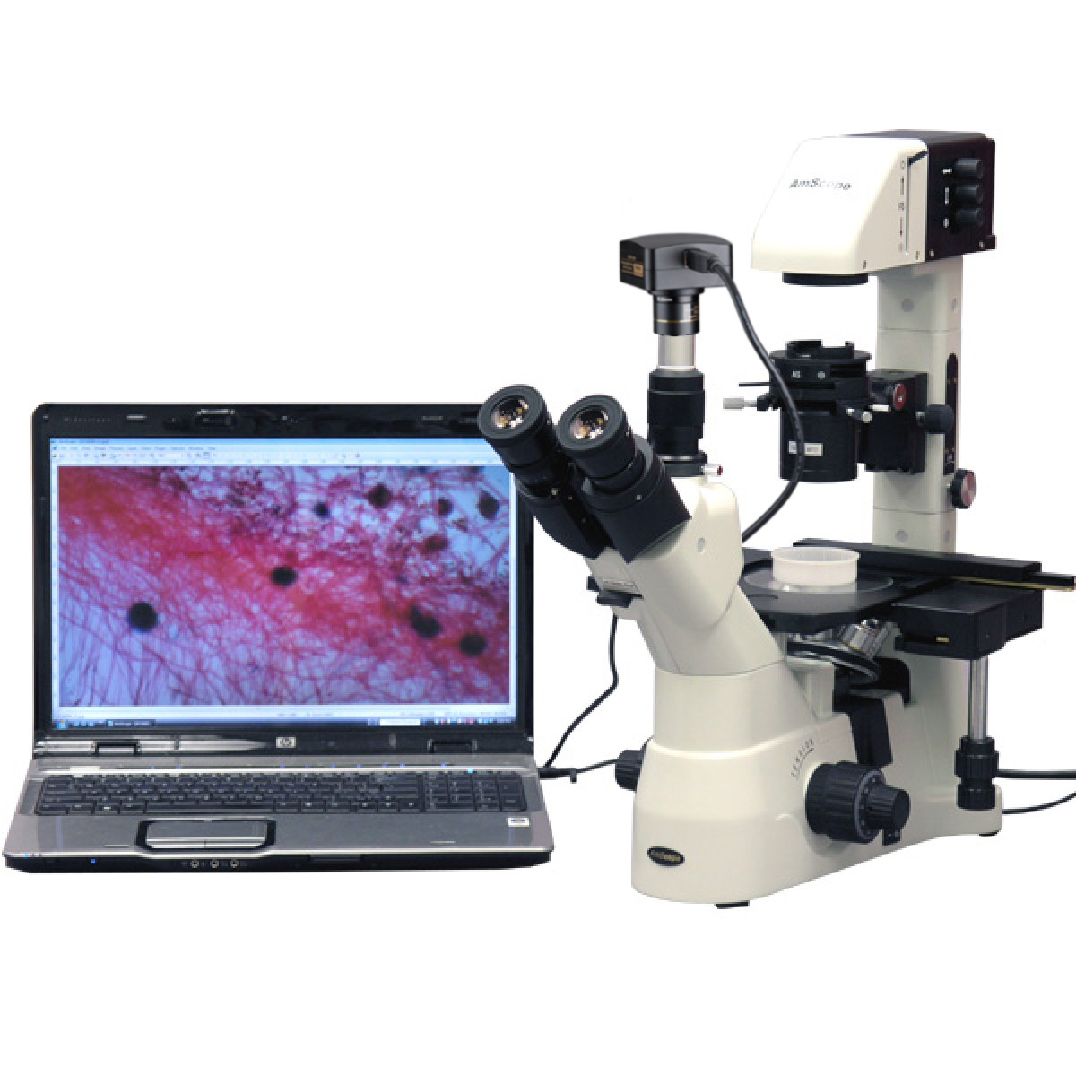 AmScope 40X-1500X Infinity Kohler Plan Inverted Microscope w 16MP Camera New - Walmart.com