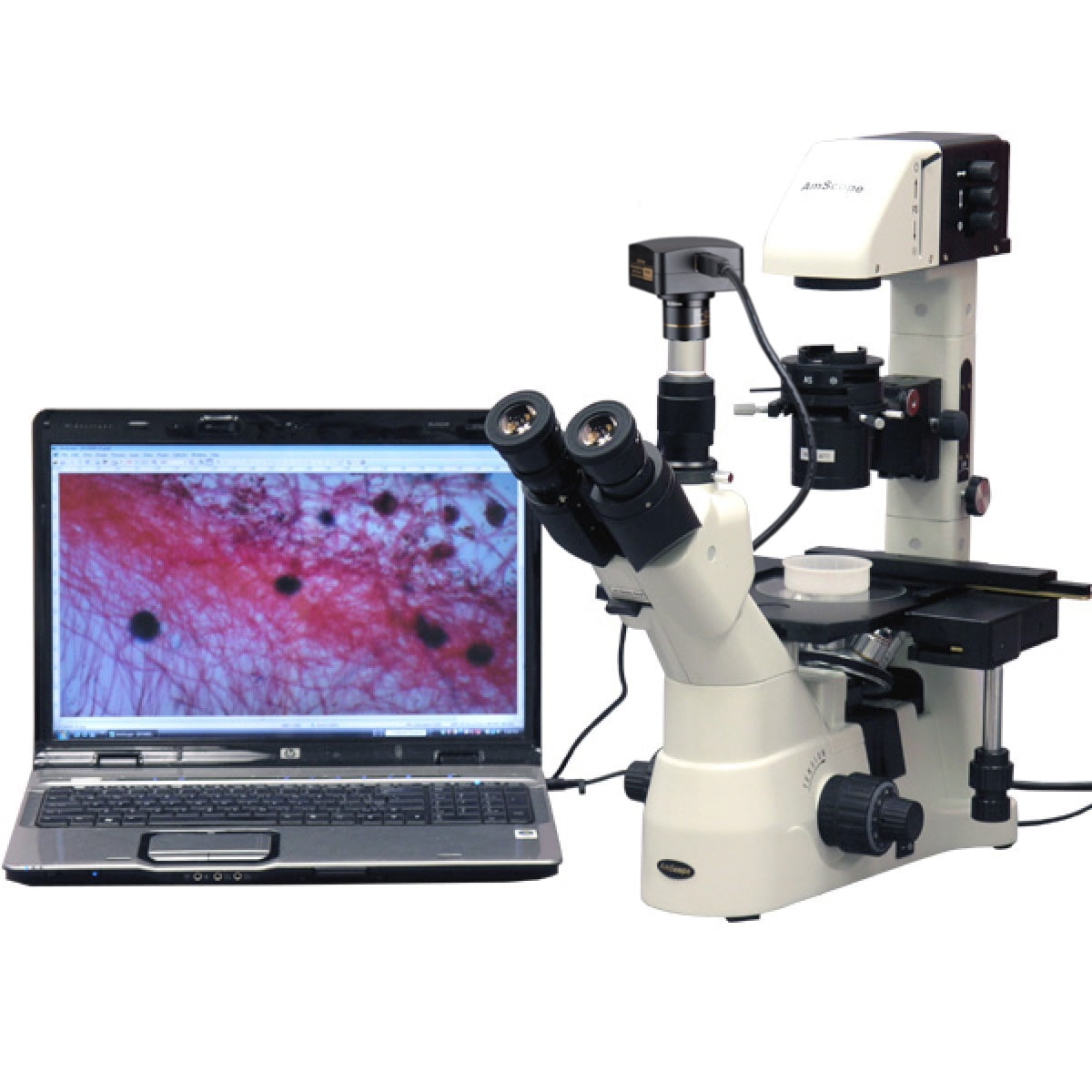 AmScope 40X-1500X Infinity Kohler Plan Inverted Microscope w 18MP ...