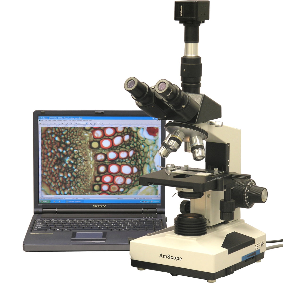 AmScope 40X-2000X Lab Clinic Veterinary Trinocular Microscope with 10MP ...