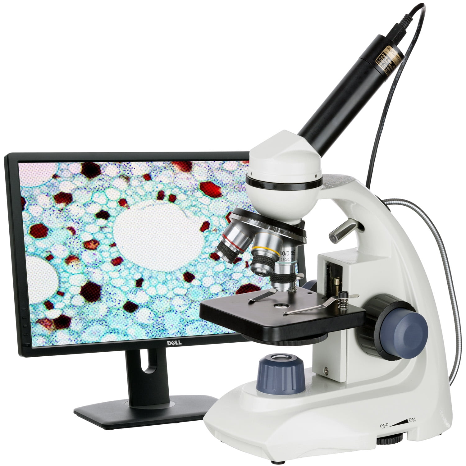 AmScope 40x-1000x dual led portable compound microscope with camera - Walmart.com
