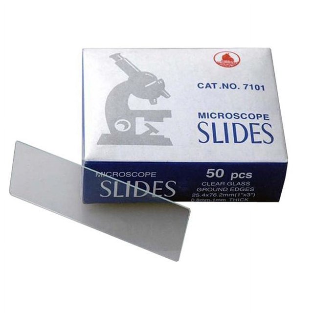 AmScope 50 Blank Microscope Slides with Ground Edges - Walmart.com