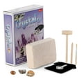 AmScope Natural Gemstone Exploration Kit - Walmart.com