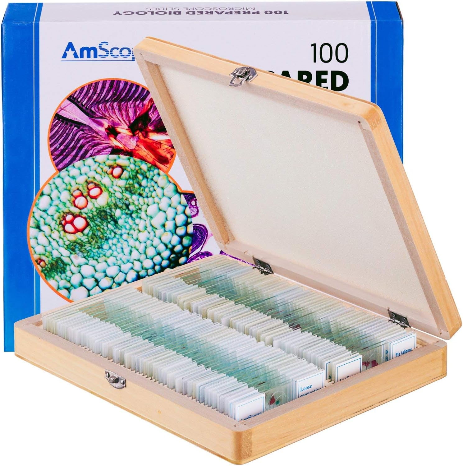 AmScope PS100D Prepared Microscope Slide Set for Basic Biological ...