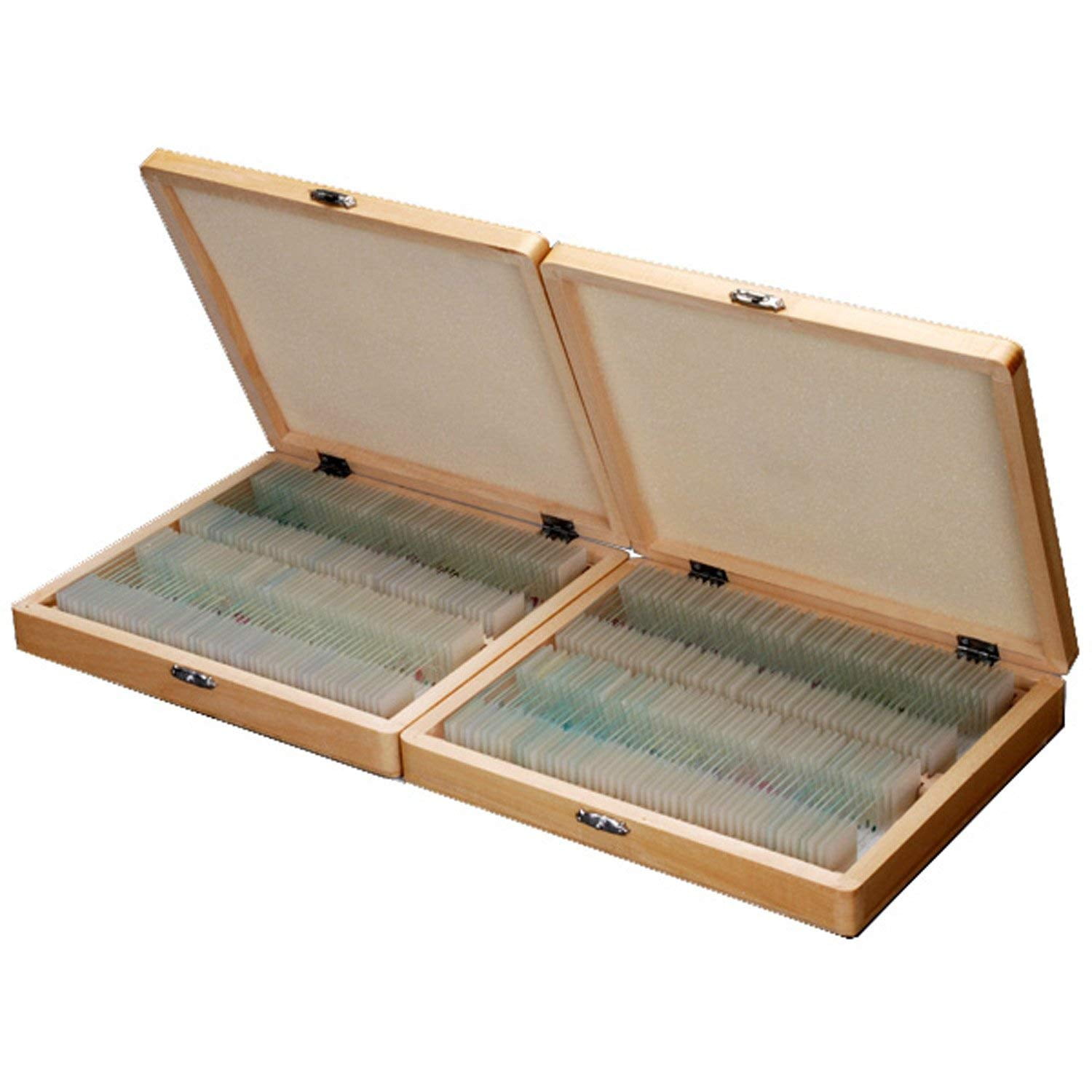 AmScope PS200 Basic Biology Prepared Slide Set for Student and ...