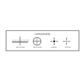 Microscope Slides